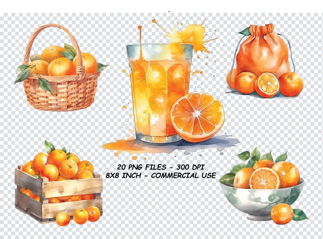 WATERCOLOR ORANGES CLIPART, Watercolor Oranges Png for Commercial Use ...
