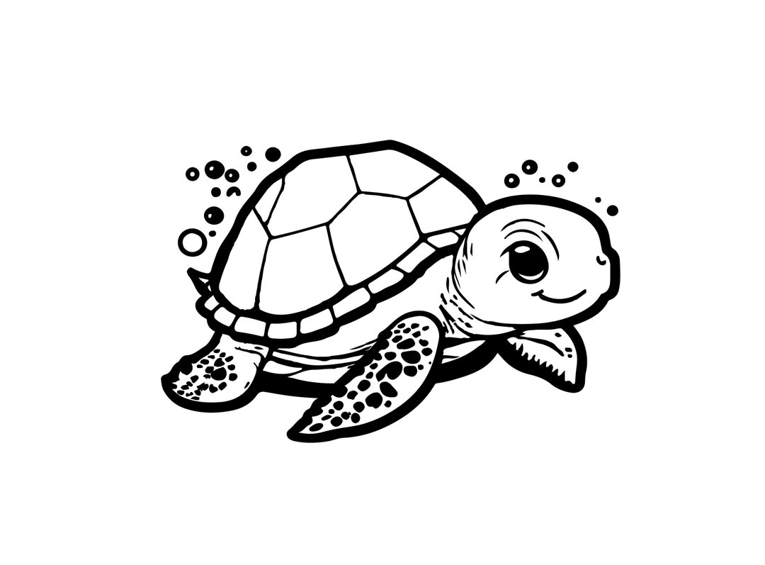 Cute Turtle Svg Cute Sea Turtle Svg Cute Turtle Clipart Cute Turtle Svg Files For Cricut