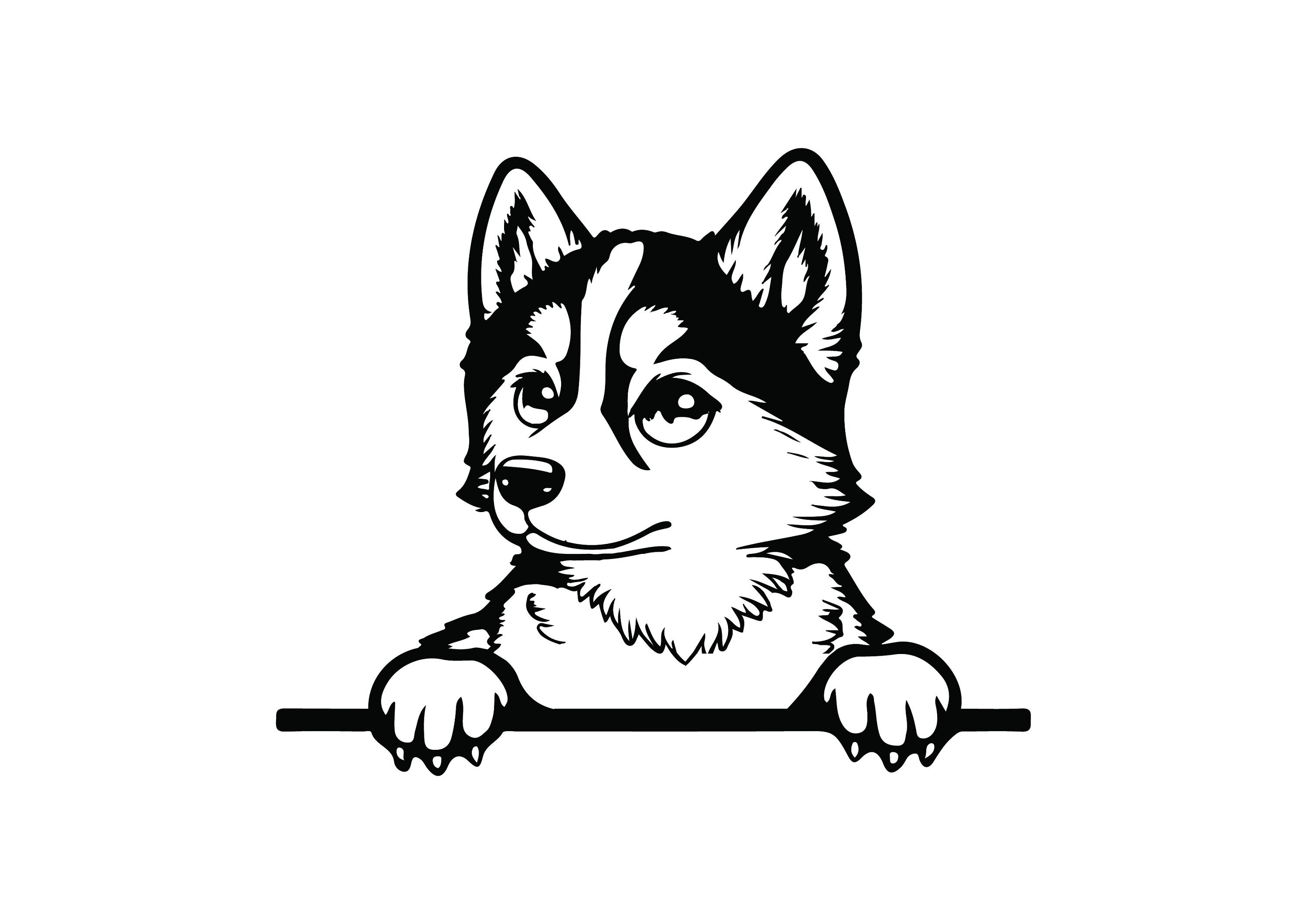 PEEKING HUSKY SVG, Peeking Husky Clipart, Peeking Husky Svg Files for ...