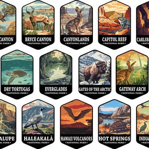 USA NATIONAL PARKS With Animals, National Parks Animals Svg Cut Files ...