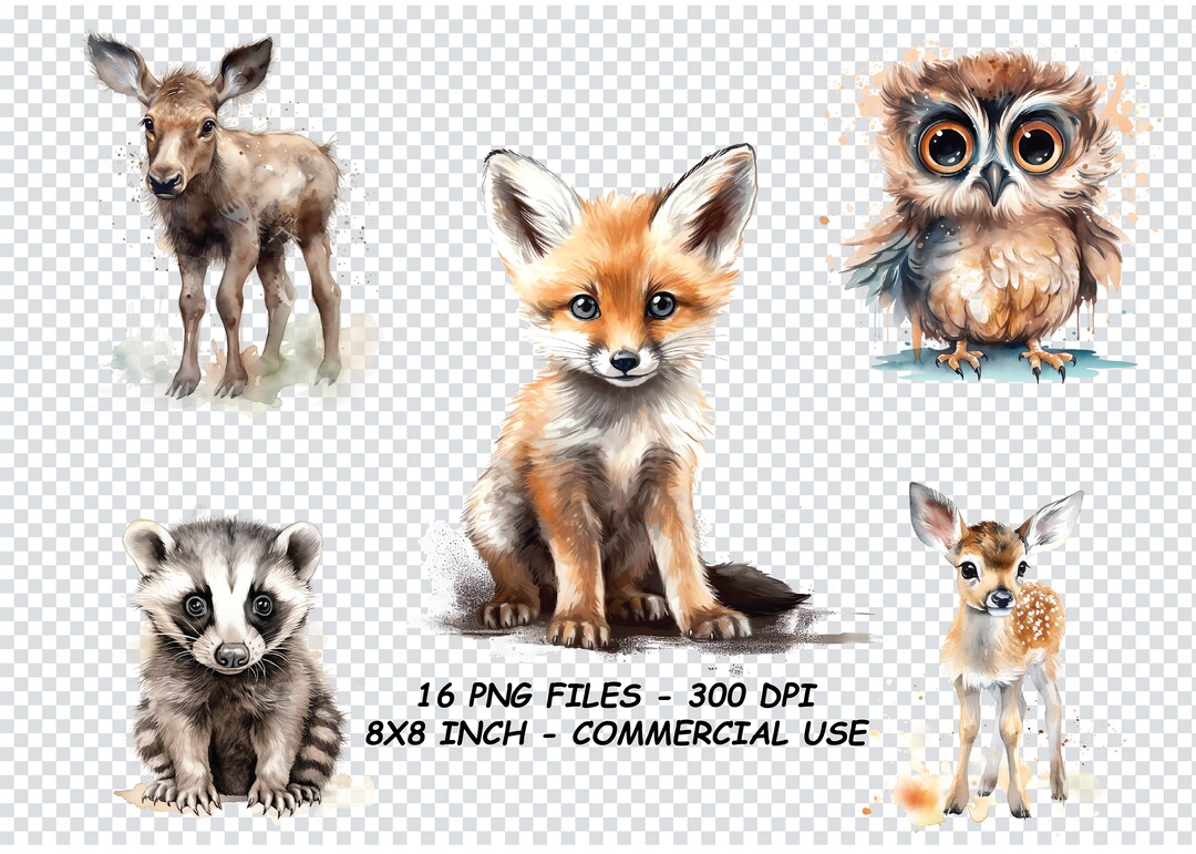 WOODLAND ANIMALS Clipart WATERCOLOR Png, Woodland Animals Clipart Png ...