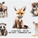 WOODLAND ANIMALS Clipart WATERCOLOR Png, Woodland Animals Clipart Png ...