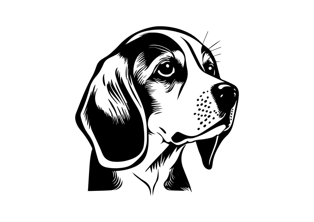 BEAGLE SVG, BEAGLE Clipart, Beagle Svg Files for Cricut, Beagle ...
