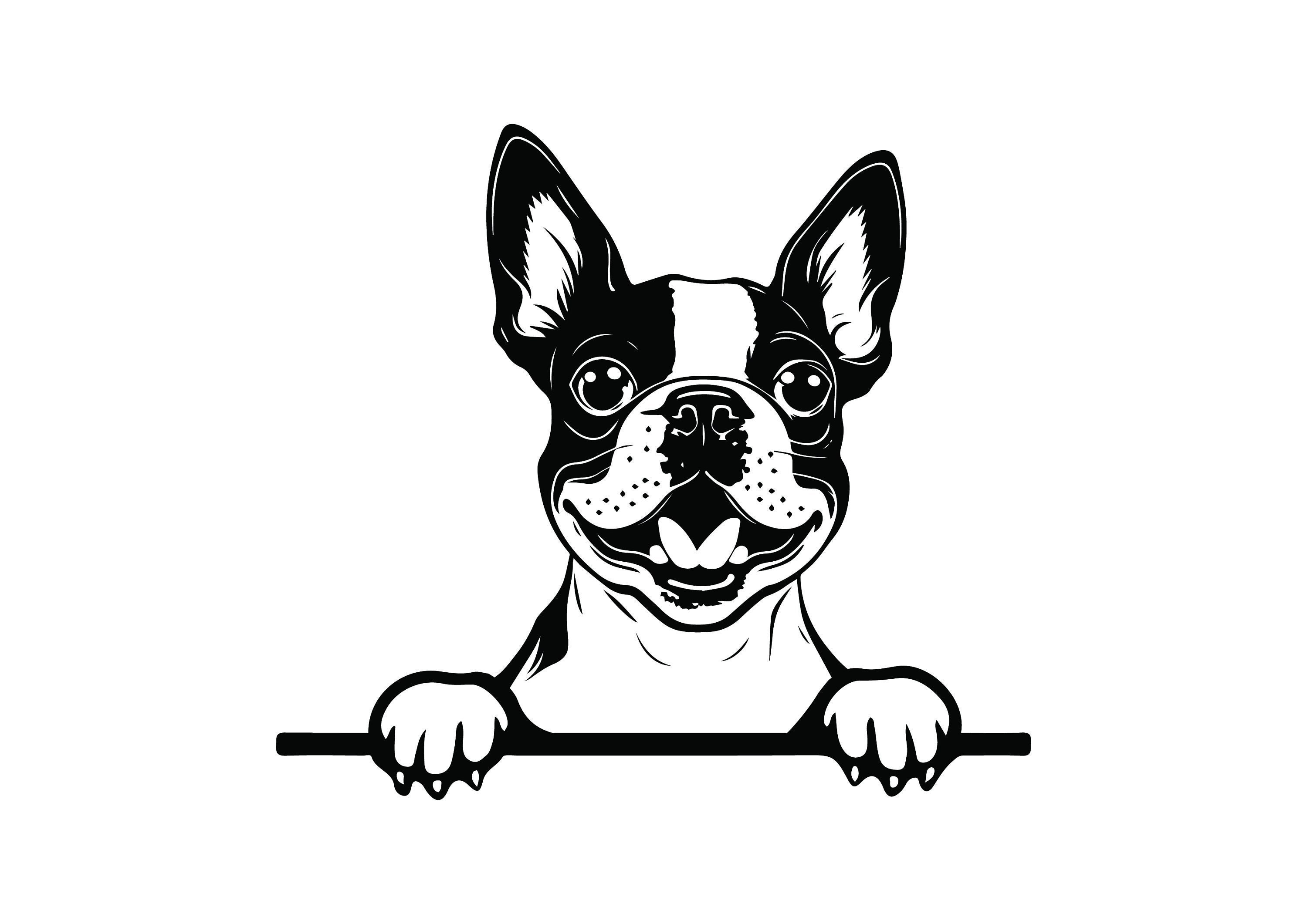 PEEKING BOSTON TERRIER Svg Peeking Boston Terrier Clipart - Etsy UK