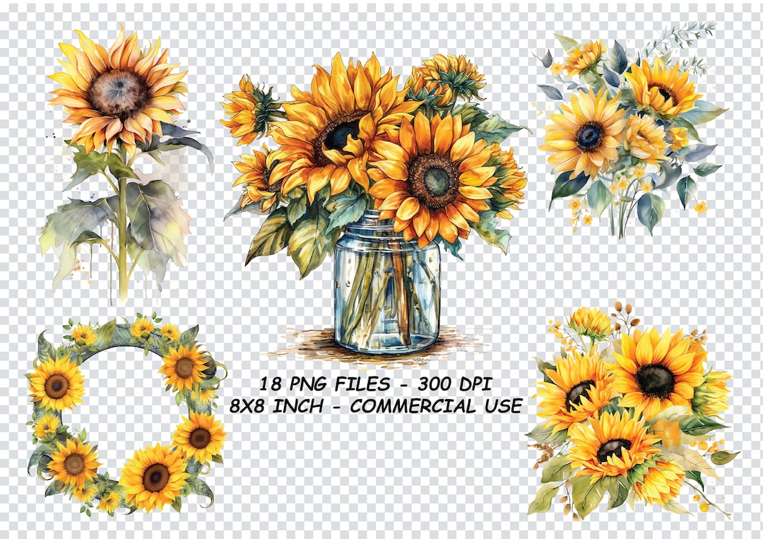 WATERCOLOR SUNFLOWERS CLIPART Png, Sunflowers Clipart Png, Sunflowers ...