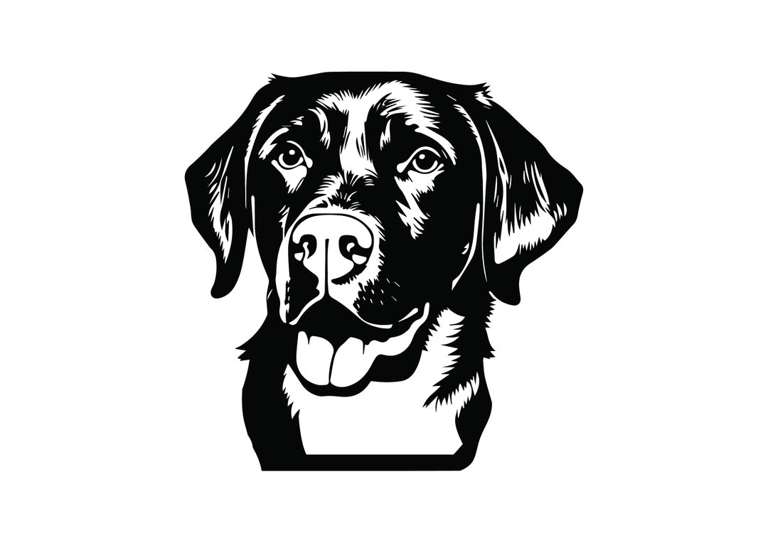 LABRADOR RETRIEVER HEAD Svg, Labrador Retriever Head Clipart, Labrador ...