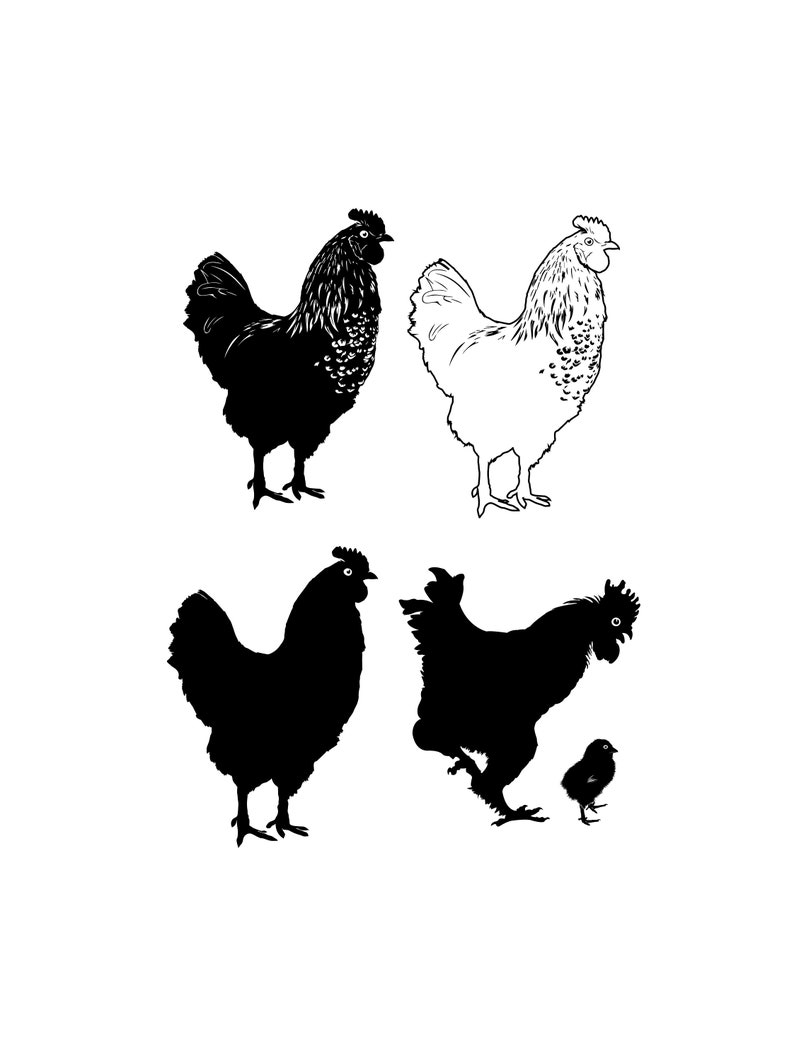 Hen, Hen SVG, Hen SVG Files, SVG Files, Cricut, Silhouette Cameo ...