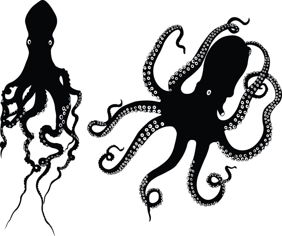 Octopus SVG, Marine Life, SVG, Octopus Clipart, Cricut, Silhouette ...
