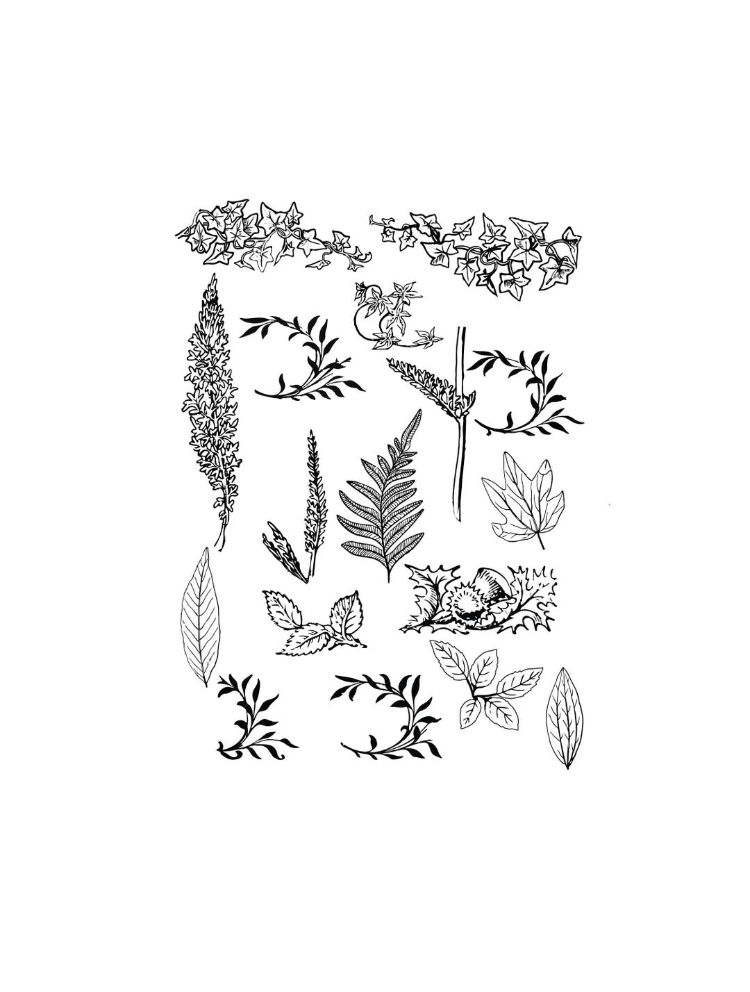 Branch, Branch SVG, Botanical SVG, SVG, Cricut, Silhouette Cameo ...