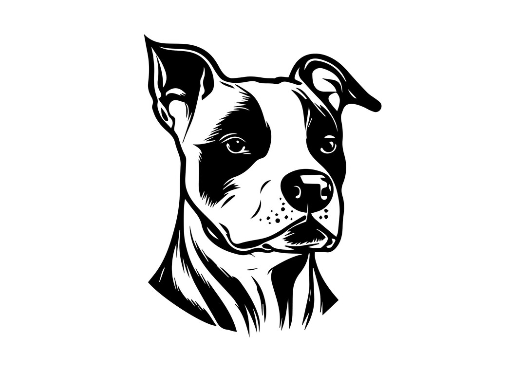 AMSTAFF SVG, AMSTAFF Clipart, Amstaff Svg Files for Cricut, American ...