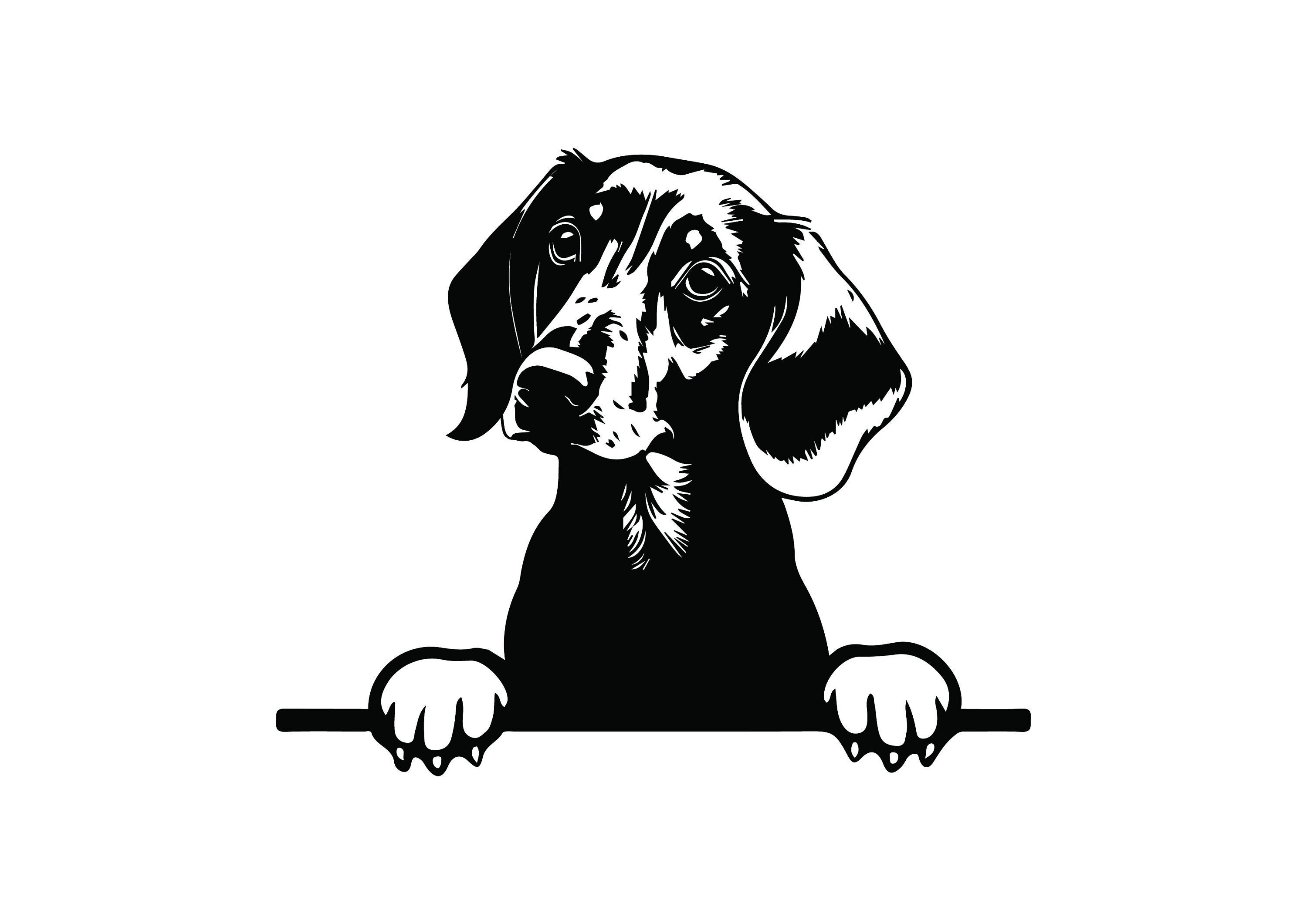 PEEKING DACHSHUND SVG Peeking Dachshund Clipart Peeking - Etsy
