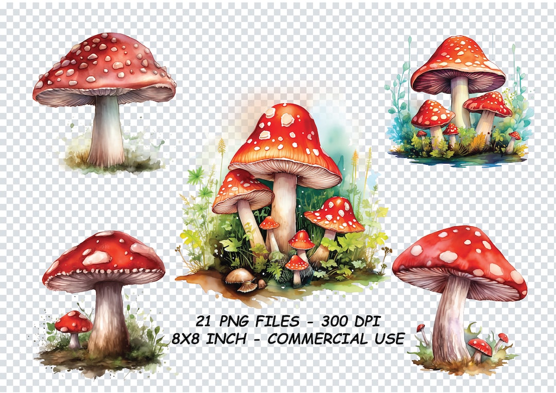 WATERCOLOR RED MUSHROOMS Clipart, Watercolor Red Mushrooms Png for ...
