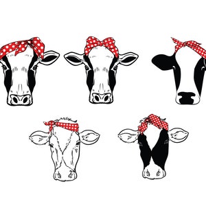 COW BANDANA SVG, Cow With Bandana Clipart, Cow Head Svg File for Cricut ...