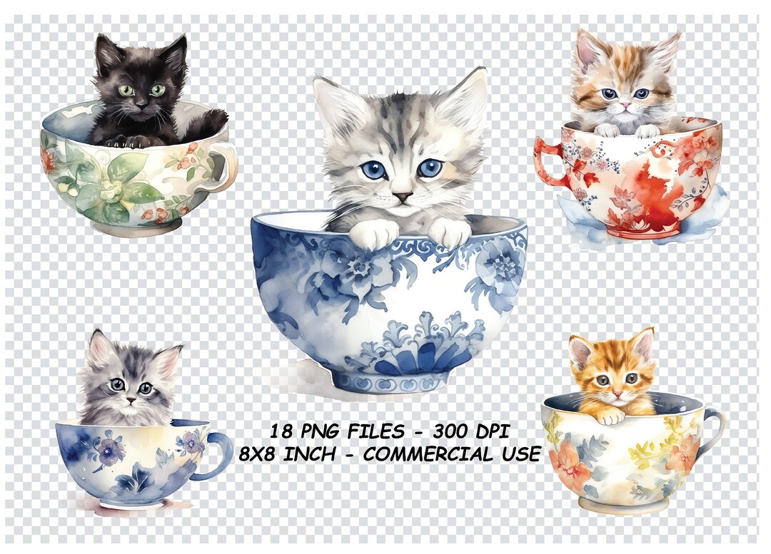 WATERCOLOR KITTEN in a CUP Clipart, Kitten in a Cup Clipart Png, Kitten ...