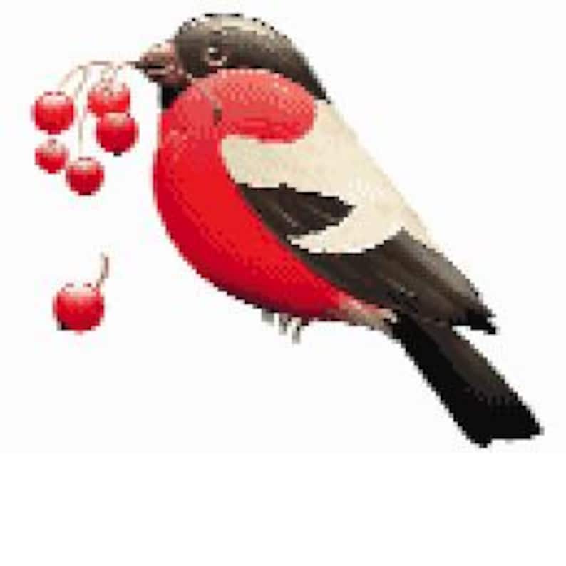 Red Robin Counted Cross Stitch Pattern, Bird Counted Cross Stitch ...