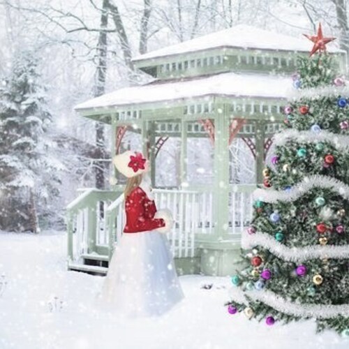 Winter Scene Counted Cross Stitch Pattern PDF Download - Etsy