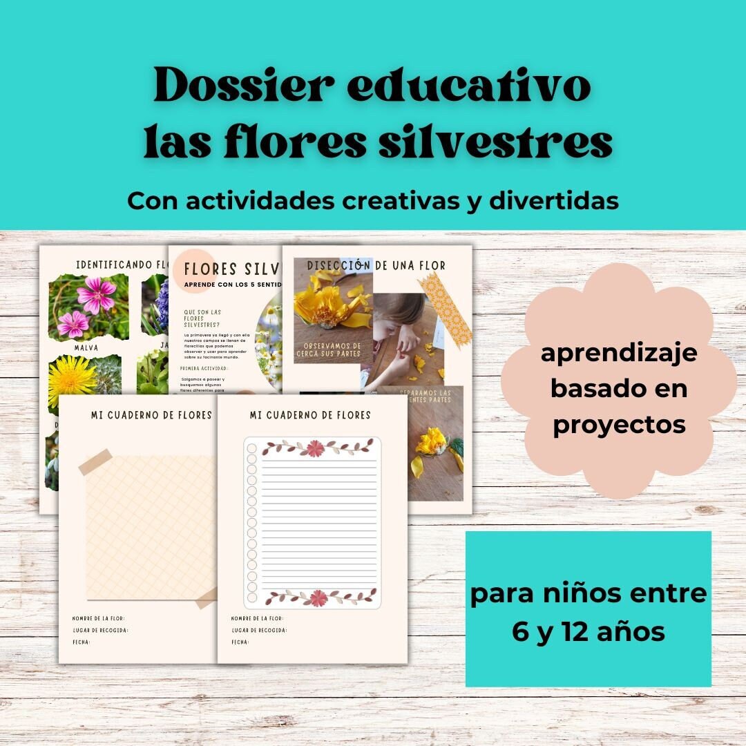 Project-based Learning Educational Dossier for Primary Education and ...