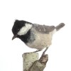 Realistic Needle Felted Sparrow – Handmade Wool Bird Sculpture ...