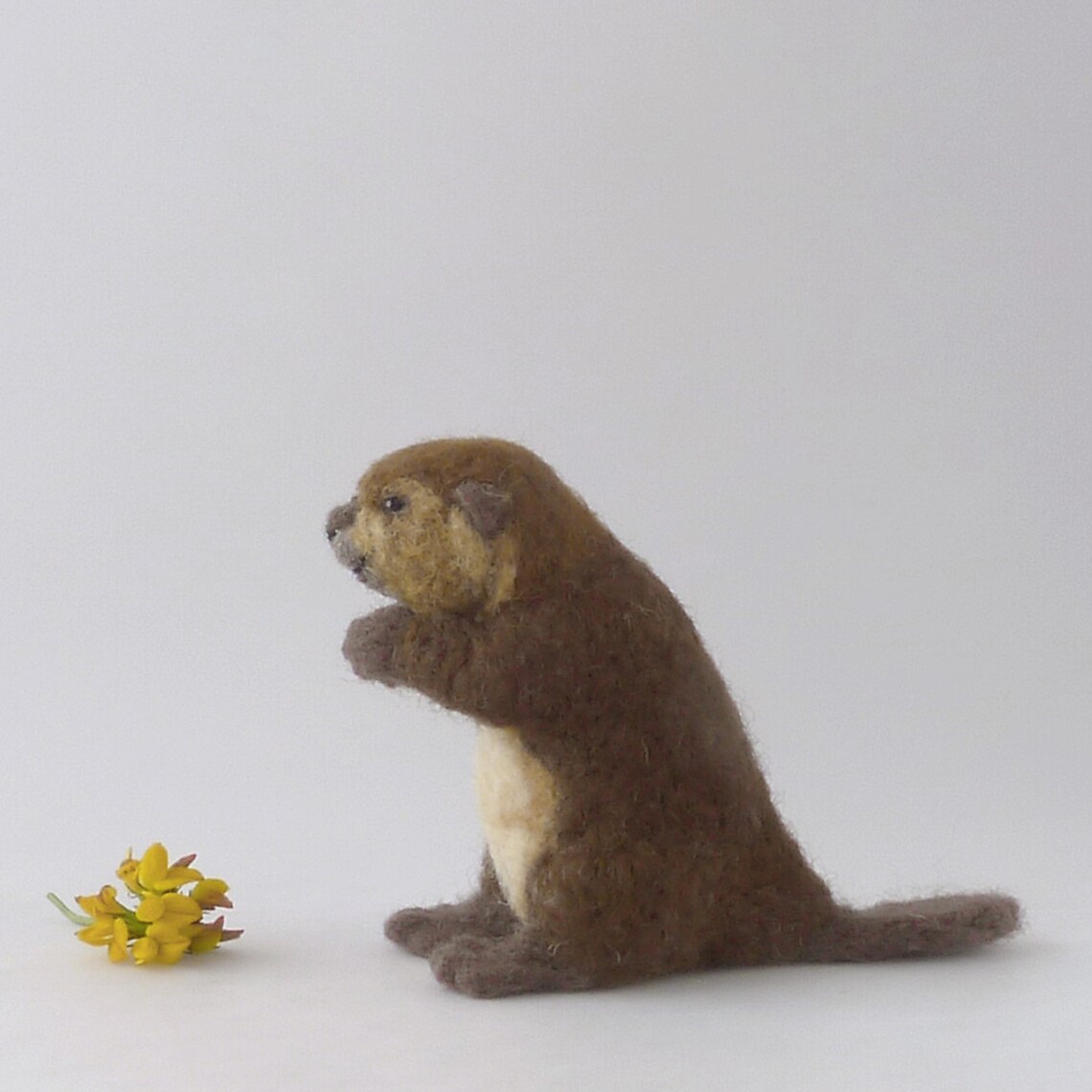 Needle Felted Beaver/felted Beaver/felt Beaver/realistic - Etsy