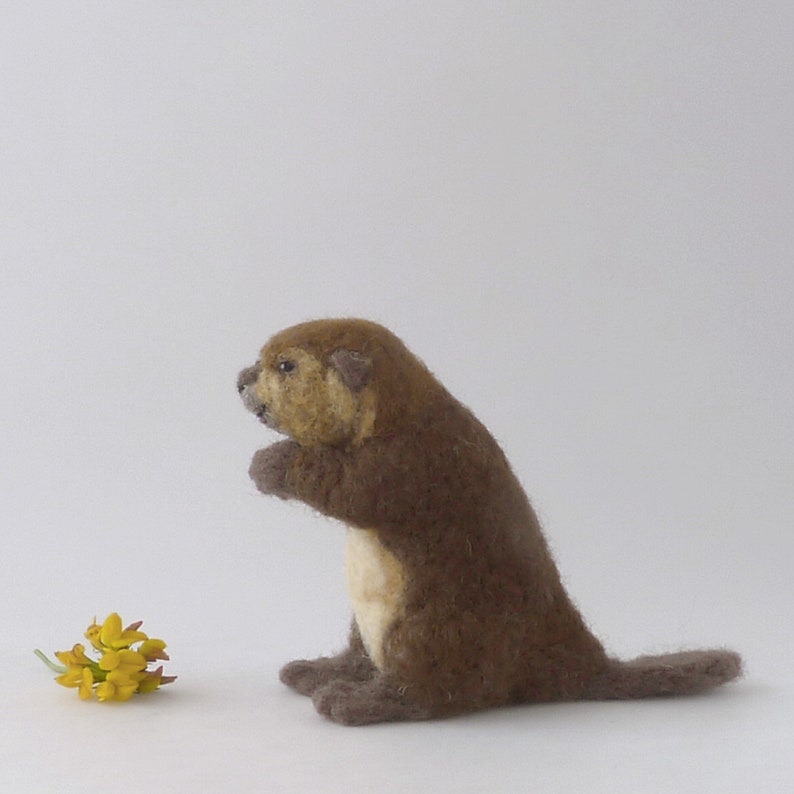 Needle Felted Beaver/felted Beaver/felt Beaver/realistic - Etsy