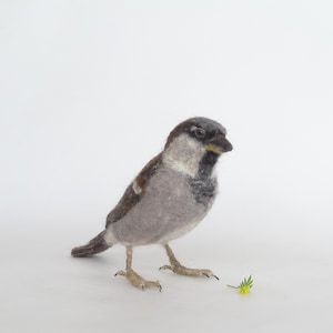Realistic Needle Felted Sparrow – Handmade Wool Bird Sculpture ...