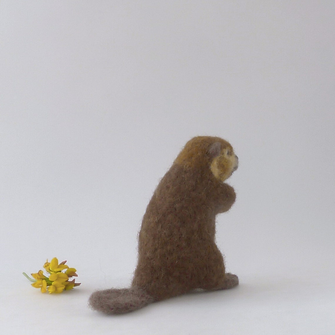Needle Felted Beaver/felted Beaver/felt Beaver/realistic - Etsy