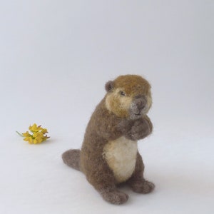 Needle Felted Beaver/felted Beaver/felt Beaver/realistic - Etsy