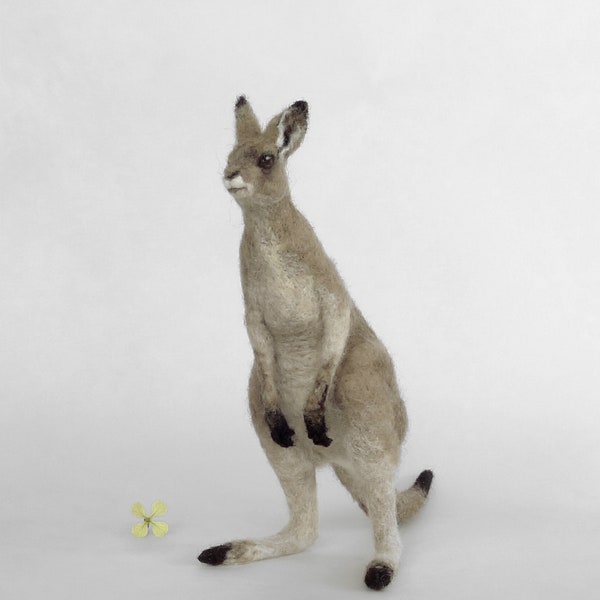 Felt Kangaroo - Etsy