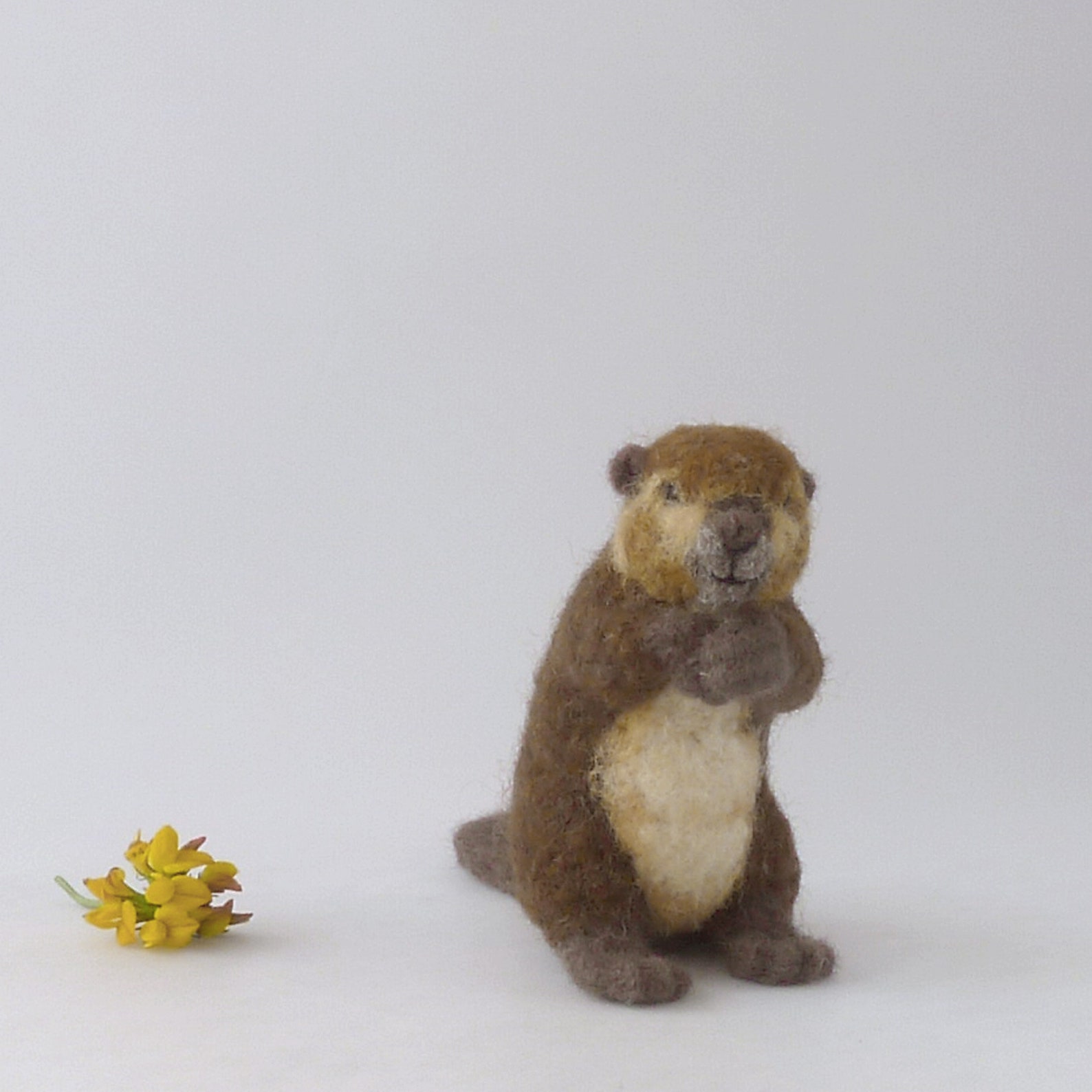 Needle Felted Beaver/felted Beaver/felt Beaver/realistic - Etsy