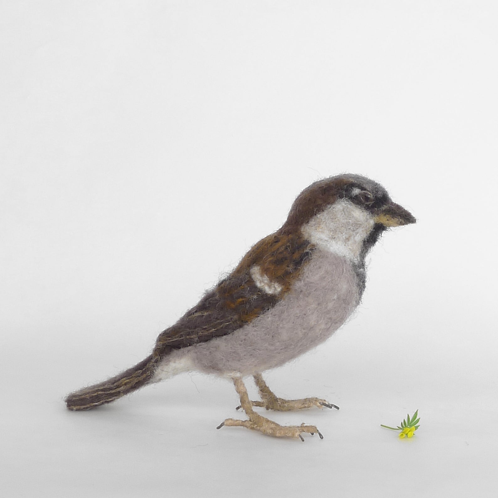 Realistic Needle Felted Sparrow – Handmade Wool Bird Sculpture ...