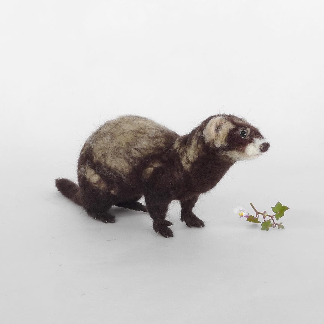 Realistic Needle Felted Ferret – Wool Animal Sculpture – Handmade ...