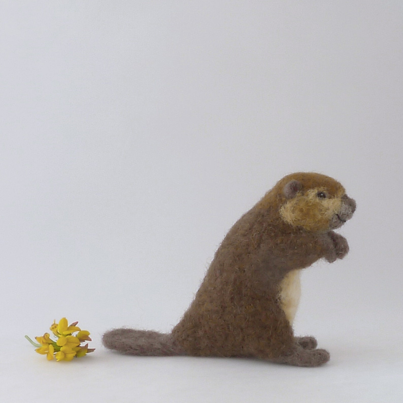 Needle Felted Beaver/felted Beaver/felt Beaver/realistic - Etsy