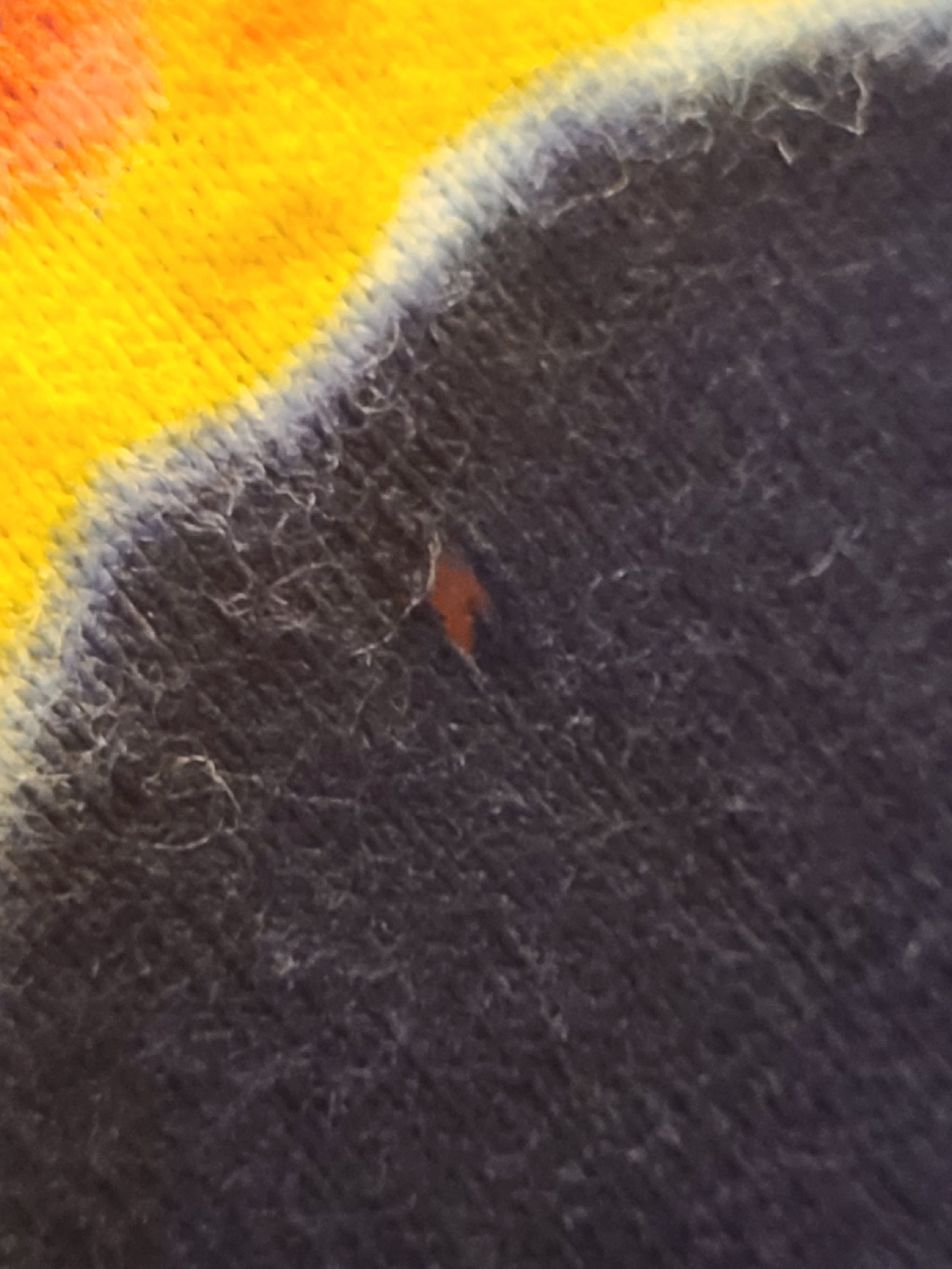 Scratch Dent Special Large 18pt Sctnl Mandala/trlgy Spine/scrunch Tie ...