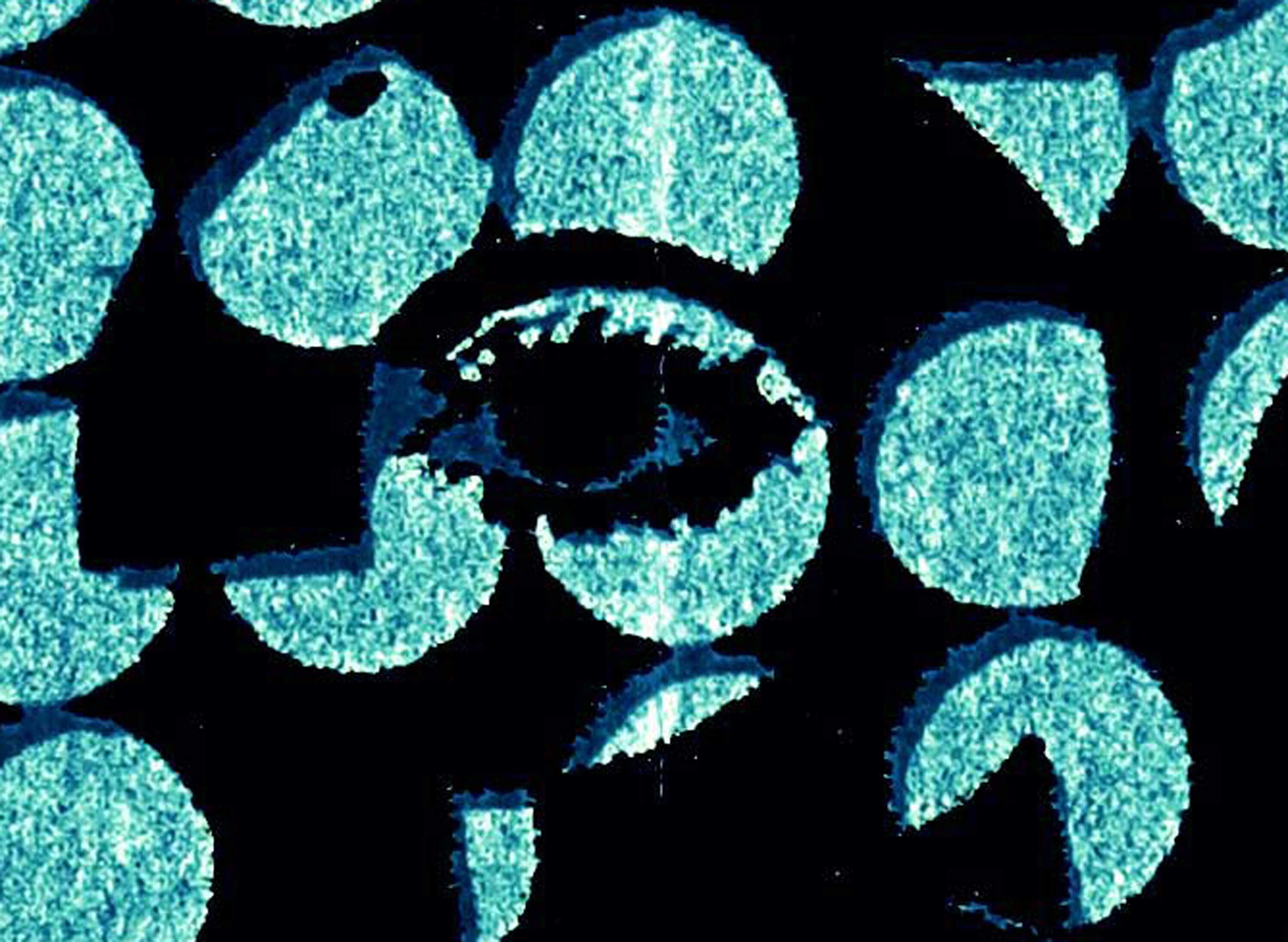 Salvador Dali Silkscreen Printed in Phosphor Ink Signed in - Etsy