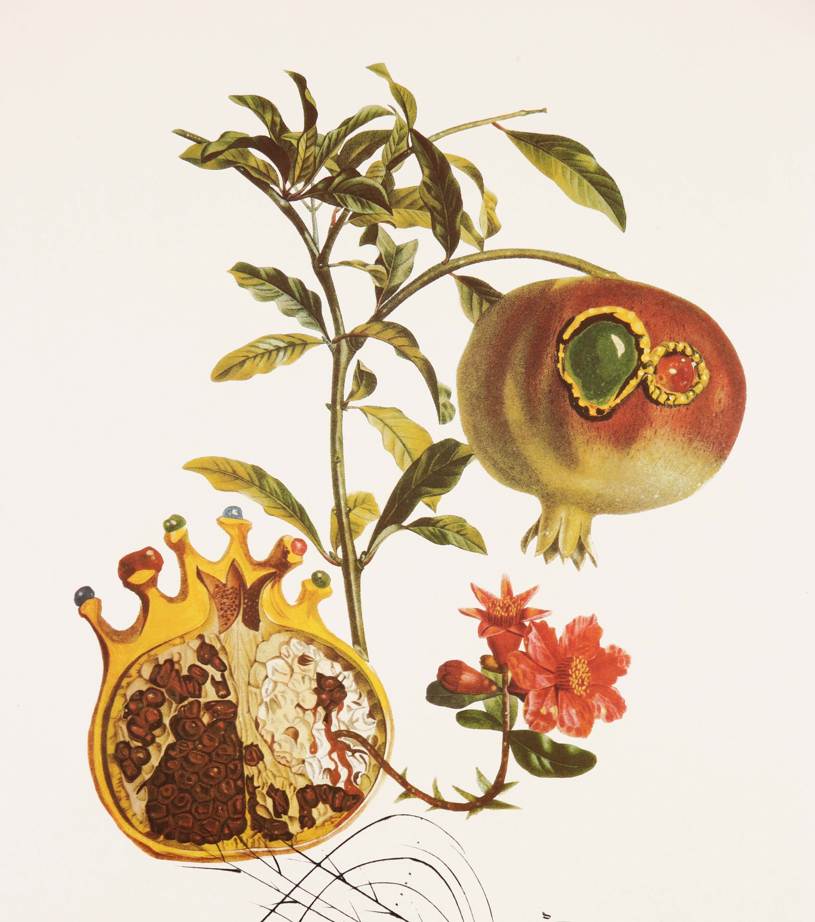 Salvador Dalì Poster 1979, Flordali. - Etsy