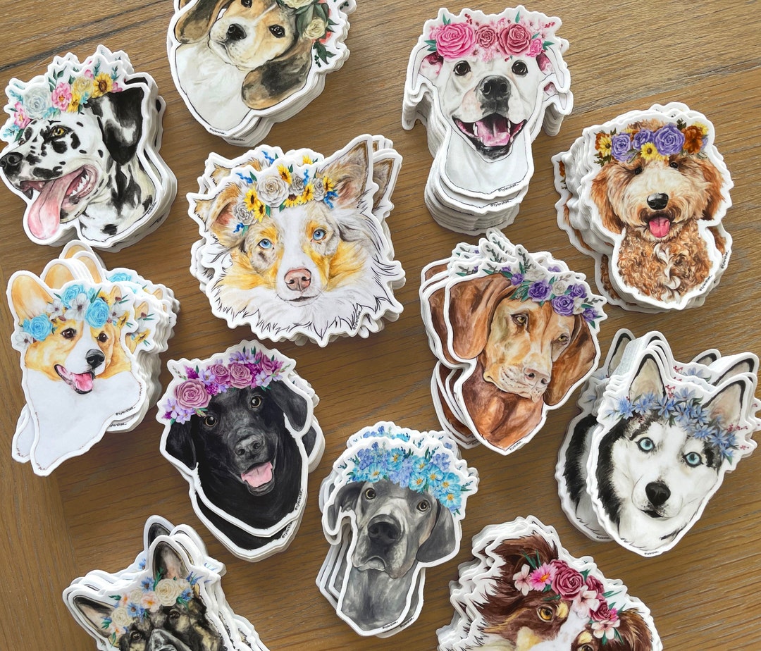 Sticker Pack, 3 for 10 Sticker Bundle | Laptop Stickers, Decals, Bumper ...