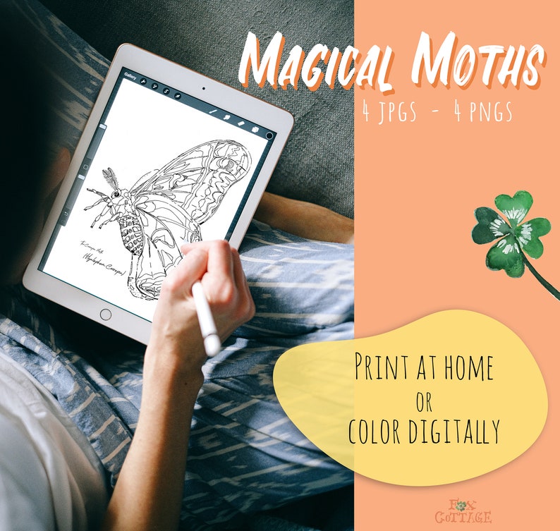 4 Magical Moth Coloring Pages PRINTABLE Adult Coloring Book - Etsy