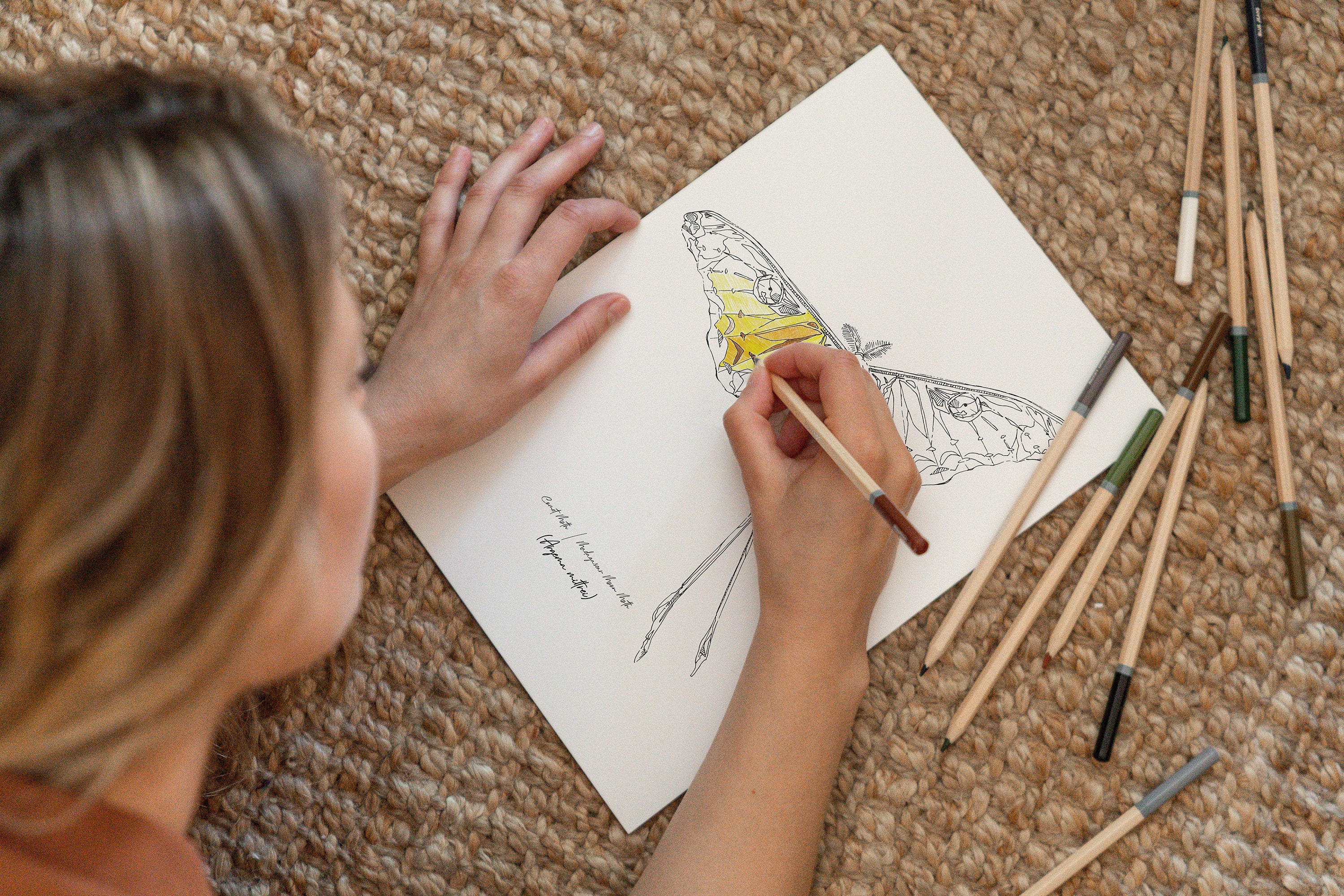 4 Magical Moth Coloring Pages PRINTABLE Adult Coloring Book - Etsy