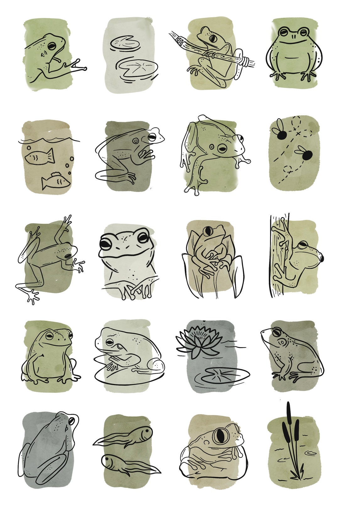 Frog Study on Green Color Swatches Digital Download Printable ...