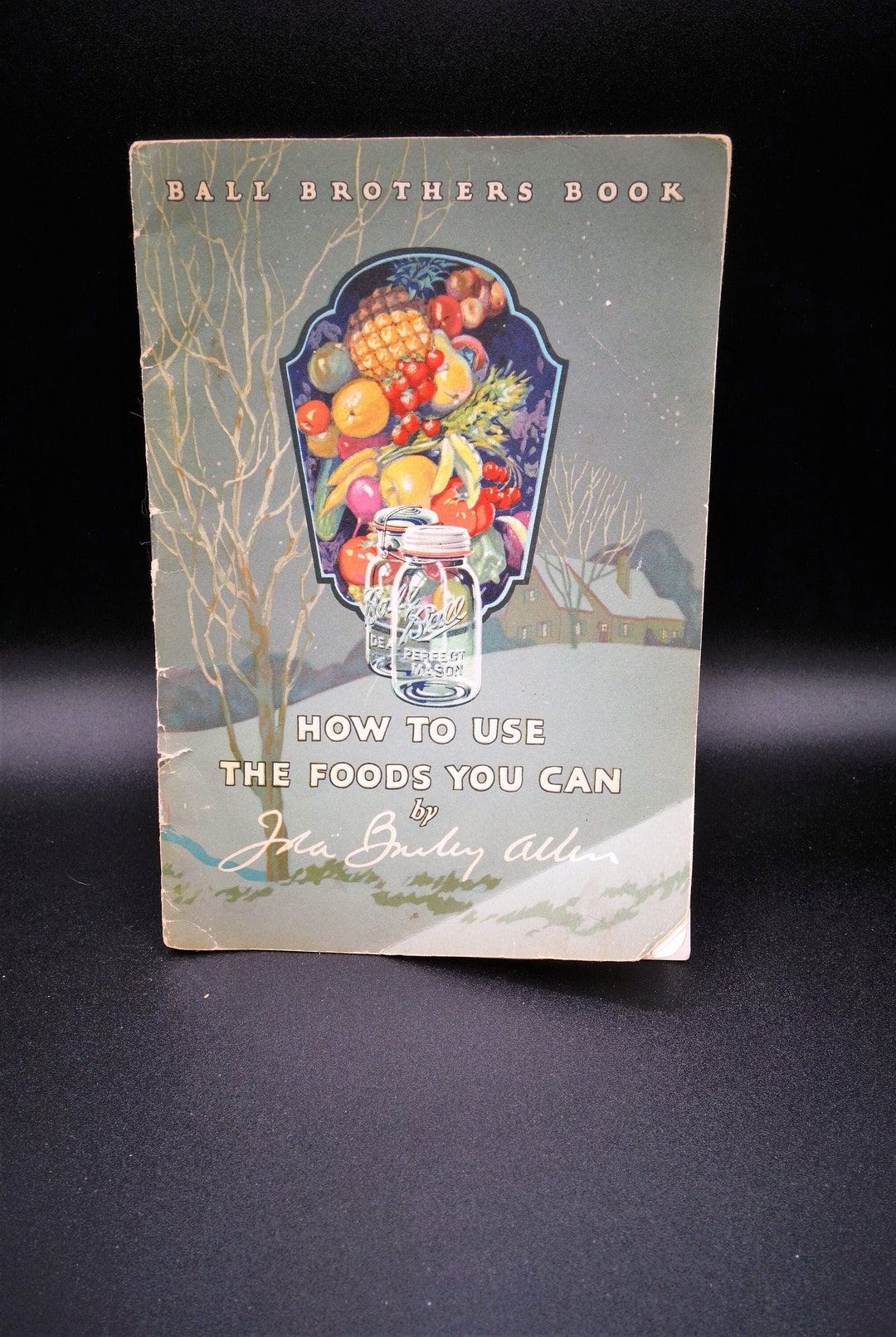 1924 Ball Brothers How to Use the Foods You Can by Ida Bailey Allen - Etsy