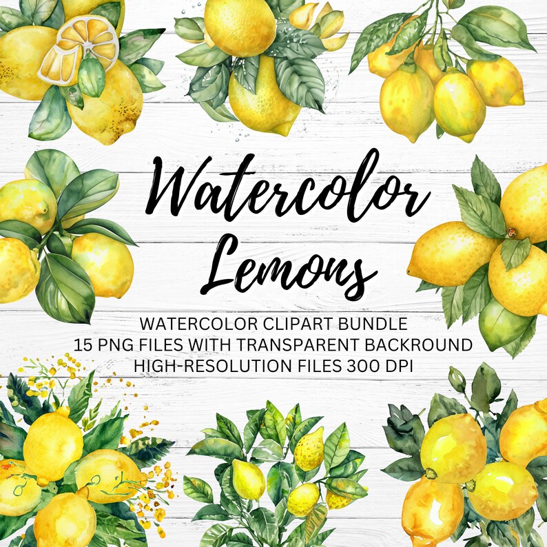 Watercolor Lemon Clipart Bundle, Fruit PNG Graphics, Lemon Twig Designs ...