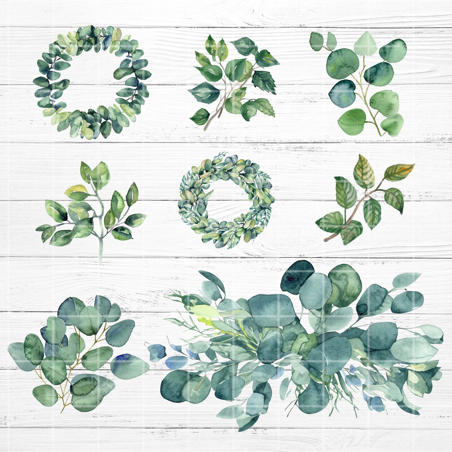Watercolor Eucalyptus Clipart Bundle: Botanical PNG Floral Design ...