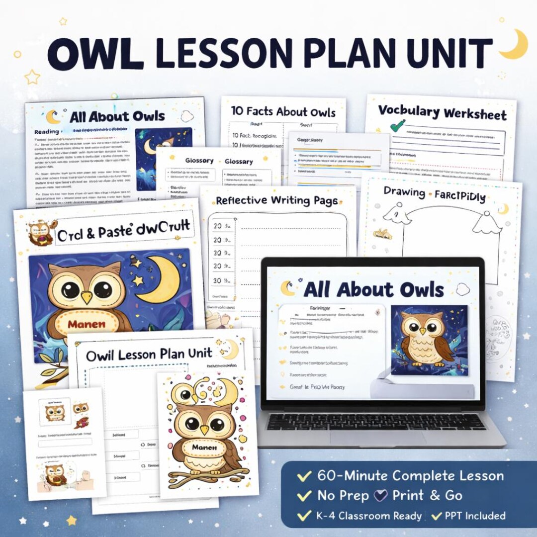Owl Lesson Plan Unit | Birds of Prey Activities K–4 (PPT Included) - Etsy