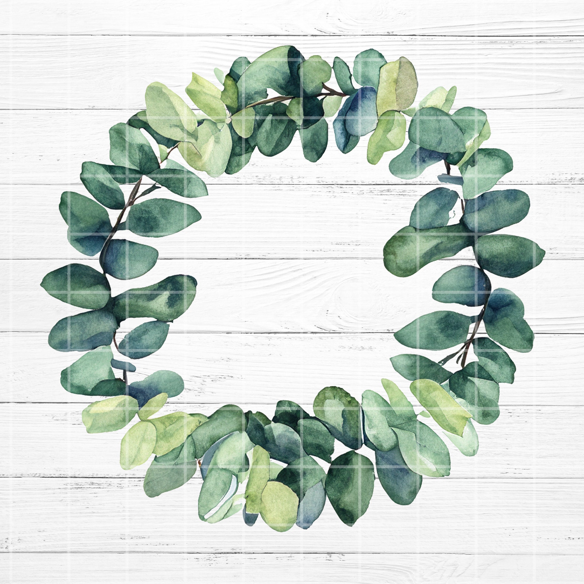 Watercolor Eucalyptus Clipart Bundle: Botanical PNG Floral Design ...
