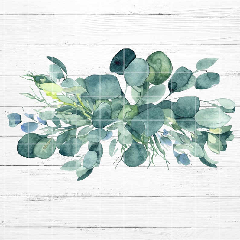 Watercolor Eucalyptus Clipart Bundle: Botanical PNG Floral Design ...