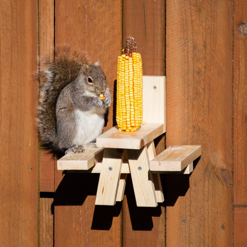 Squirrel Picnic Table - Etsy