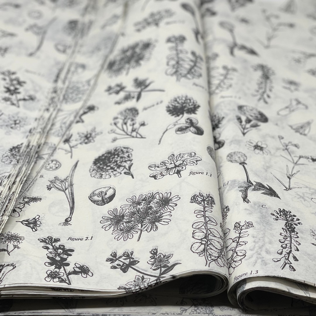 Botanical Tissue Paper 24 Sheets 20" X 30" Bulk Black/off White ...