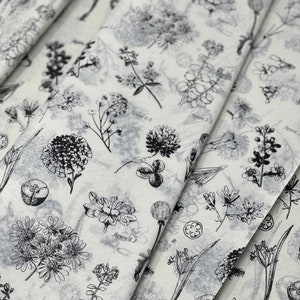 Botanical Tissue Paper 24 Sheets 20" X 30" Bulk Black off White ...