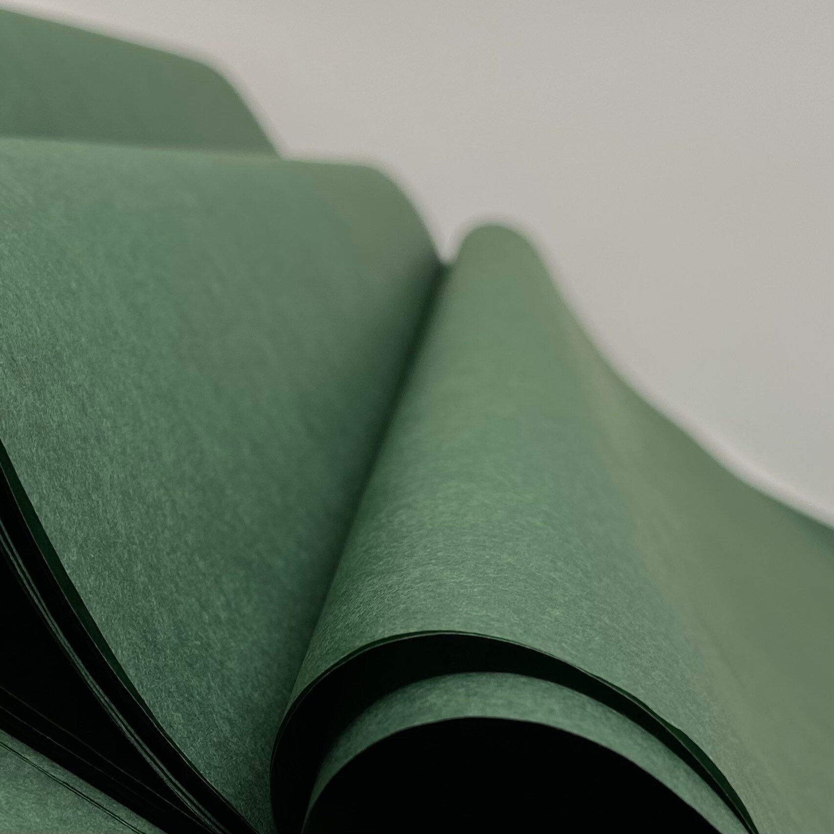 Evergreen Tissue Paper 10-20 Sheets 20 X 30 Matte | Etsy