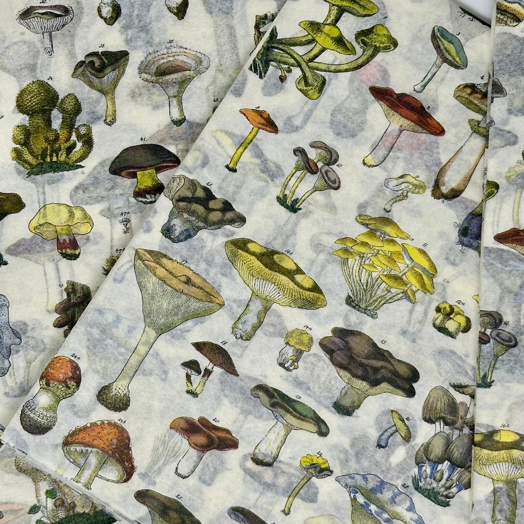 Vintage Mushrooms Tissue Paper 20" X 30" 5-10 Sheets Fungus Botanical ...